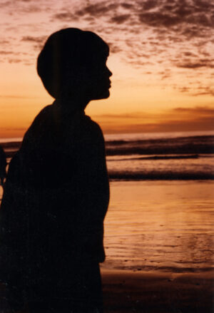 Review: LaserSoft SilverFast 9 SE Plus Scanning Software | Larry Jordan