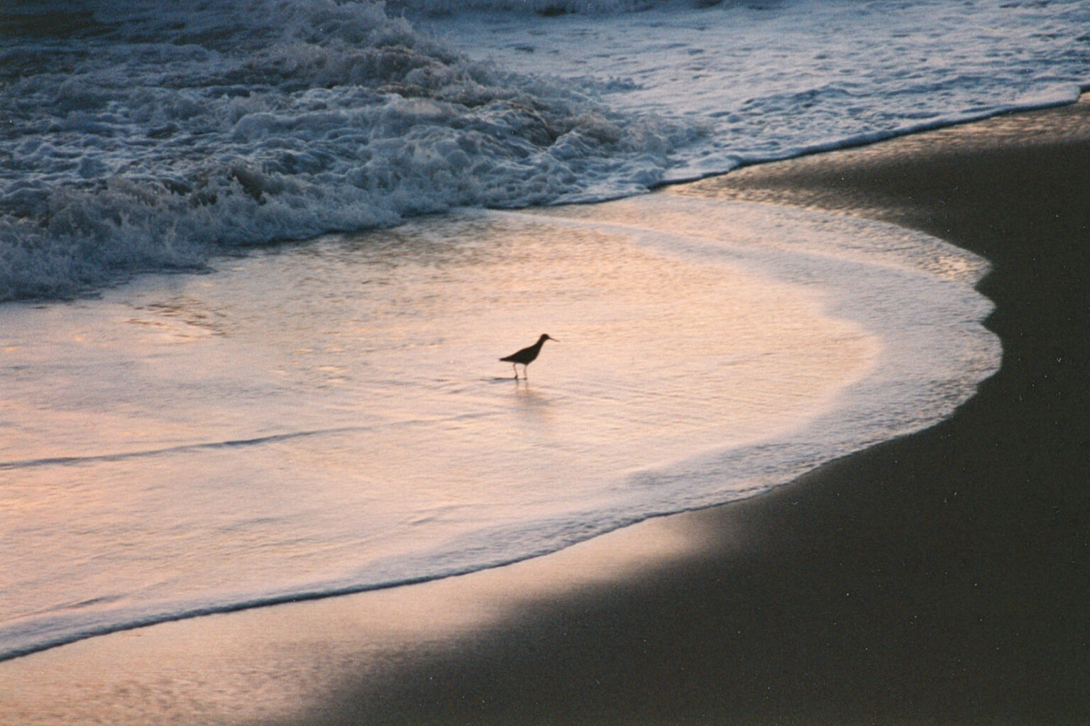 Review: LaserSoft SilverFast 9 SE Plus Scanning Software | Larry Jordan