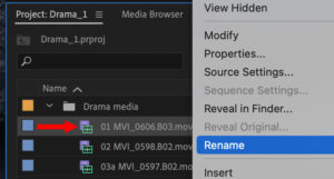 Adobe Premiere Pro: Find and Rename Media | Larry Jordan