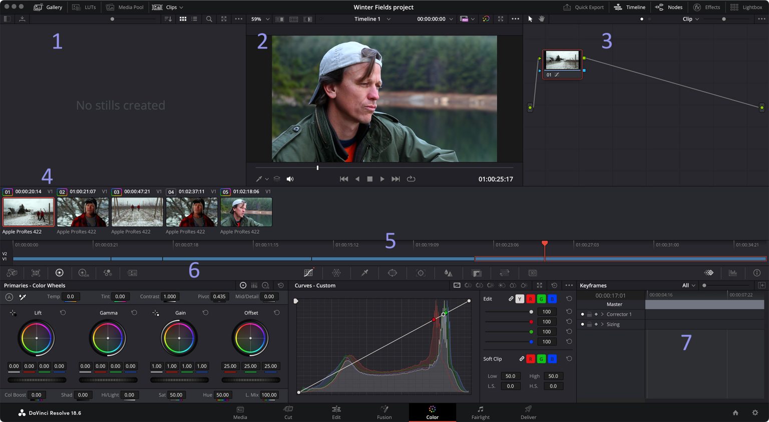 Get Started With the Color Page in DaVinci Resolve | Larry Jordan