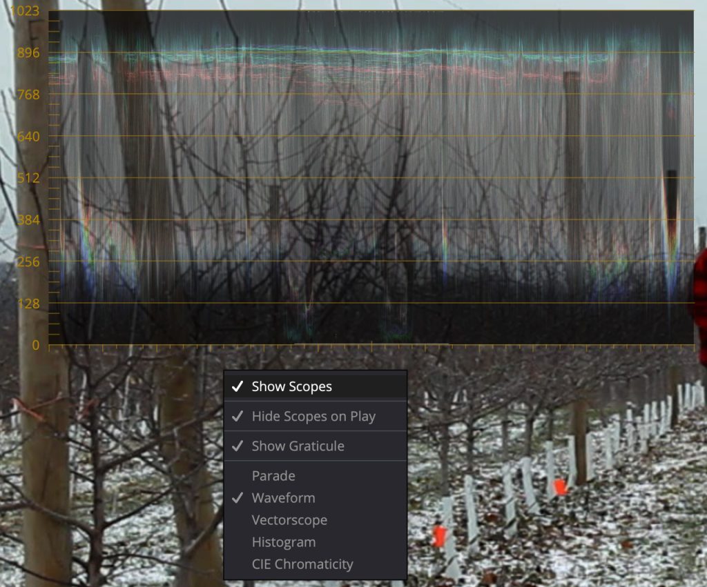 Get Started With the Color Page in DaVinci Resolve | Larry Jordan