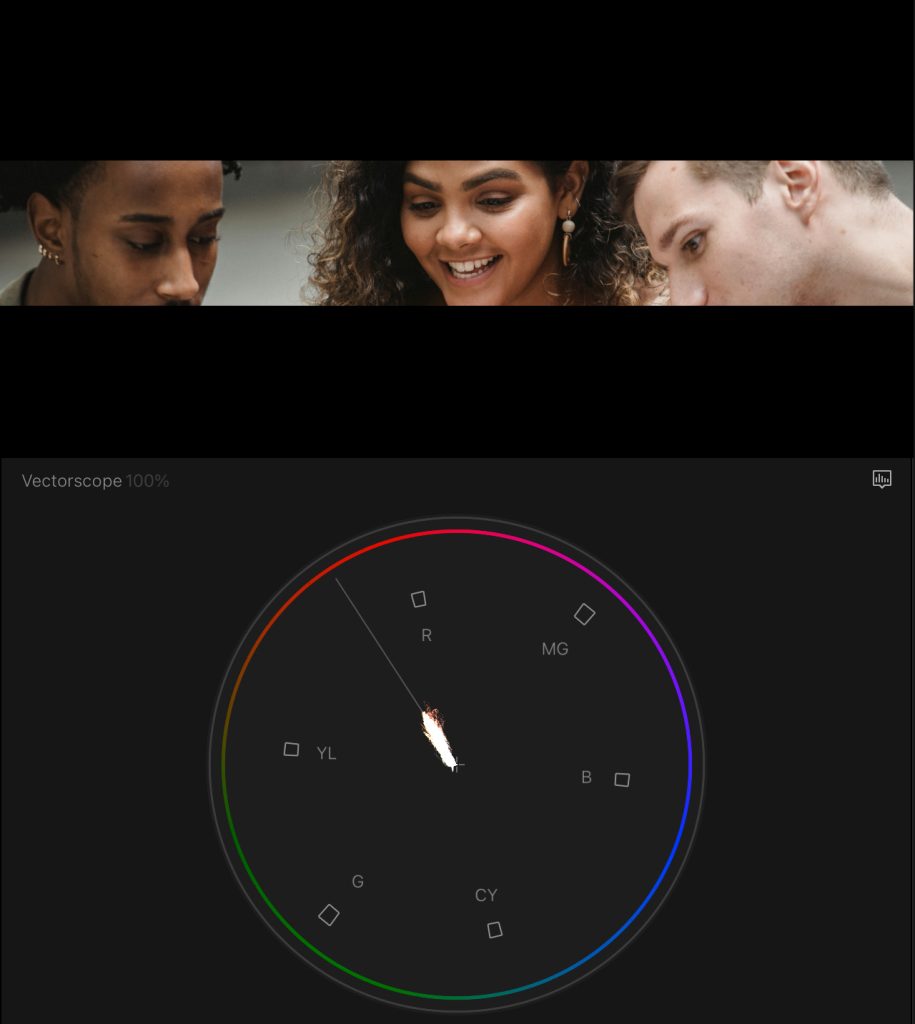 Learn How to Read Video Scopes | Larry Jordan