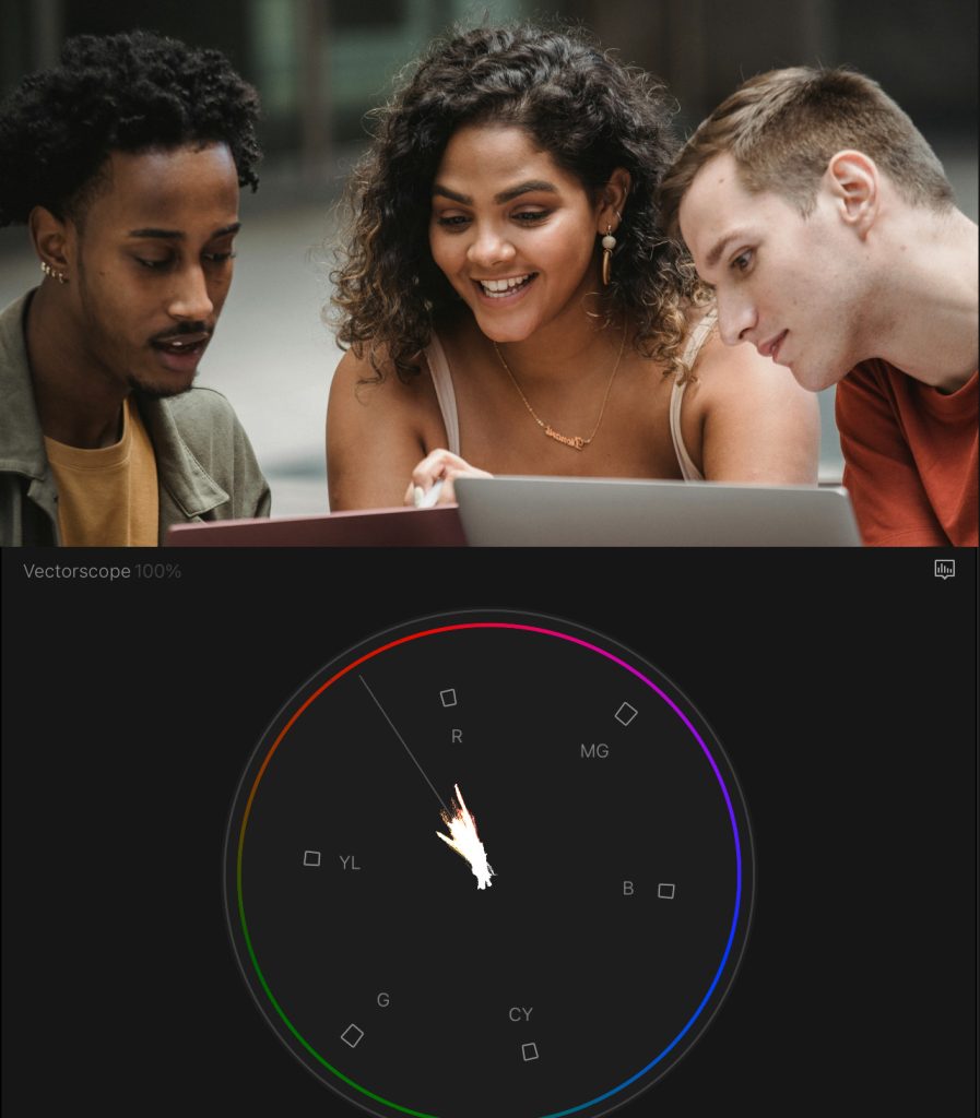Learn How to Read Video Scopes | Larry Jordan