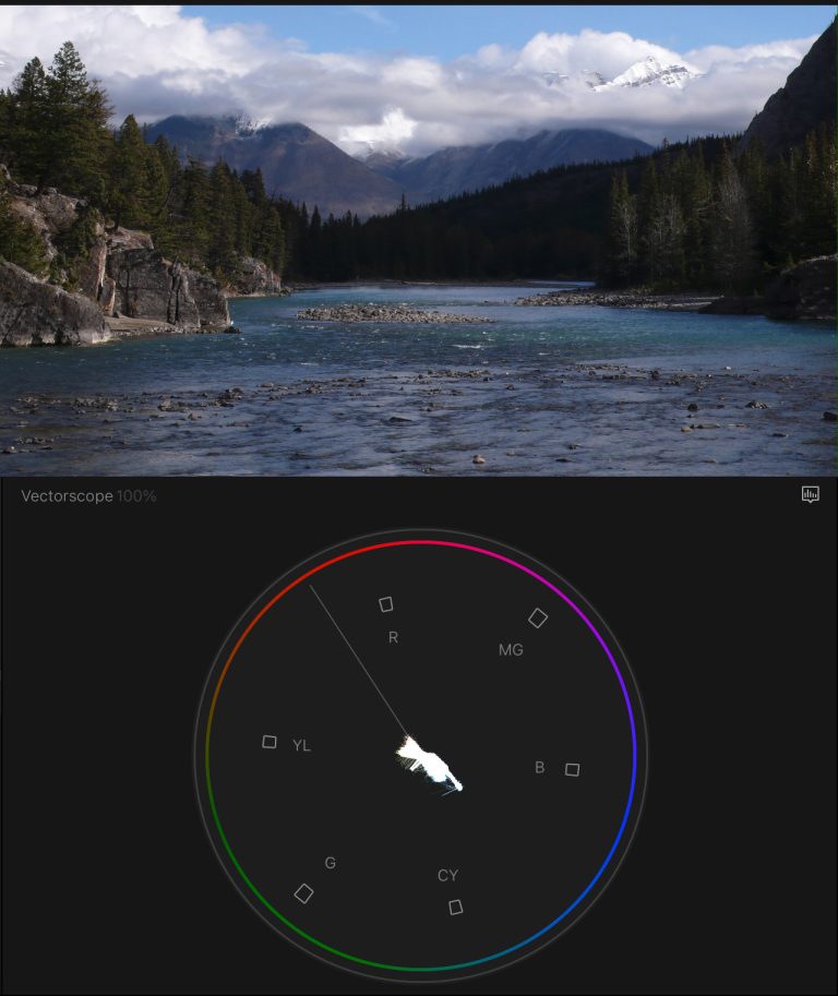 Learn How to Read Video Scopes | Larry Jordan