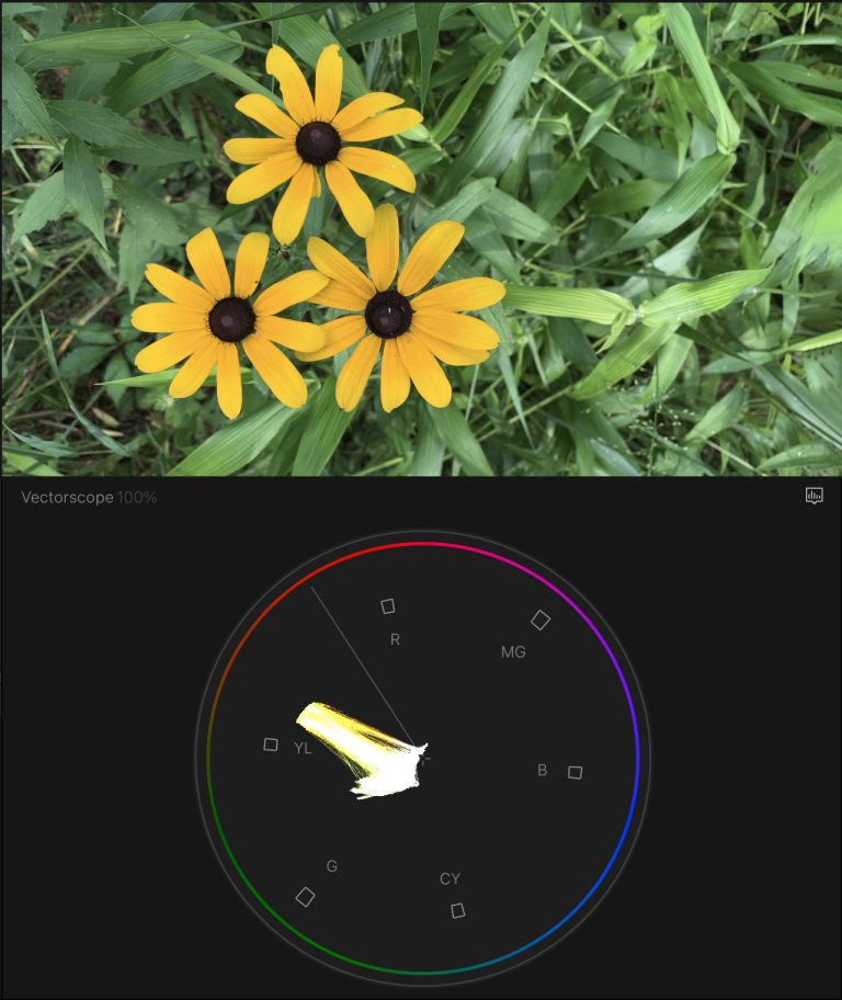 Learn How to Read Video Scopes | Larry Jordan