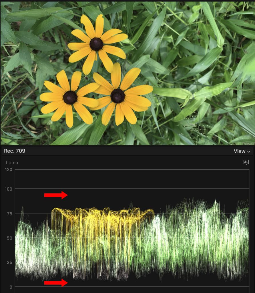 Learn How to Read Video Scopes | Larry Jordan